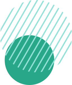 Shindigz® Party Supplies Official Website